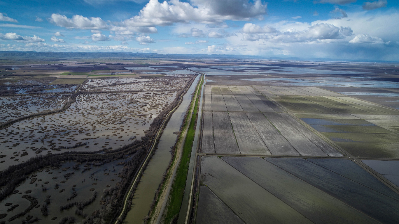 Floodplain Forward — H2O IQ