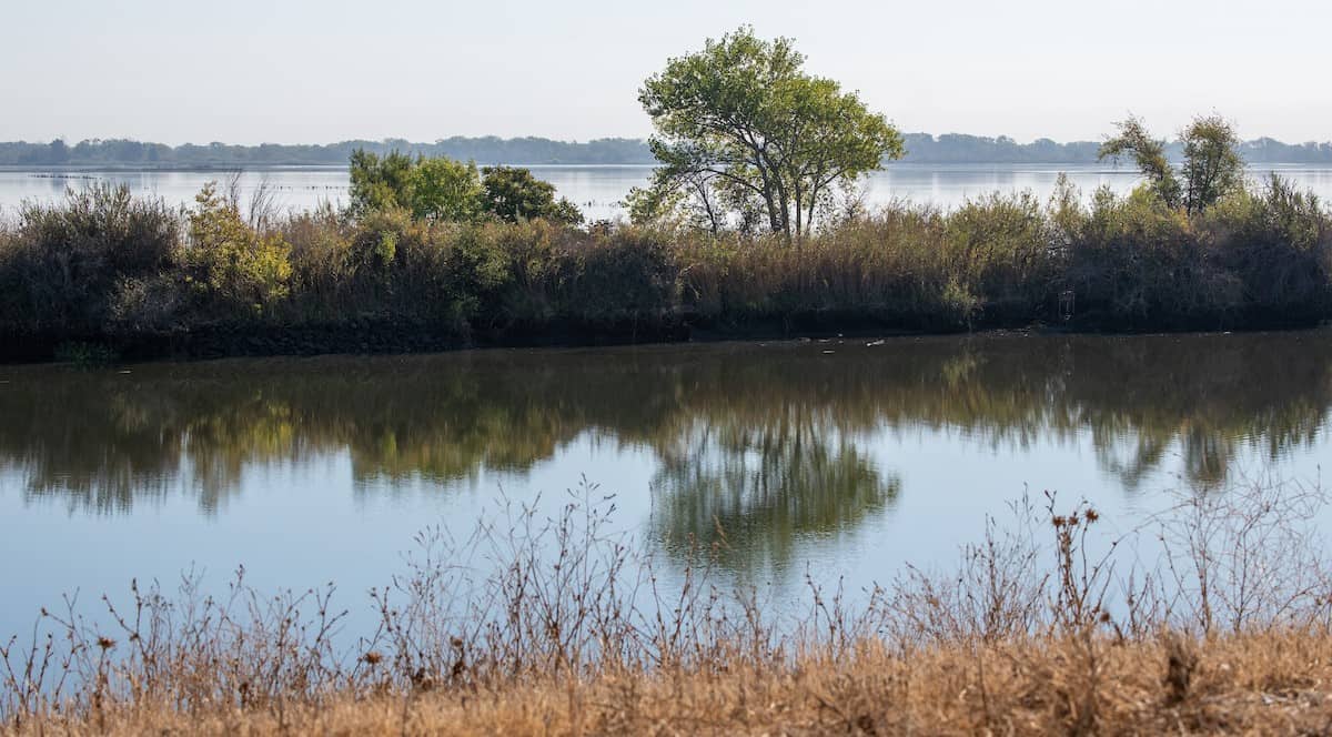 Structured Decision Making, Synthesize Data for Mgmt. — H2O IQ