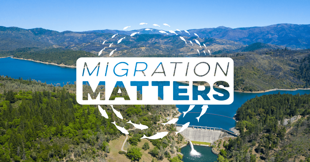 Migration Matters: Breaking Down Barriers to Migration — H2O IQ