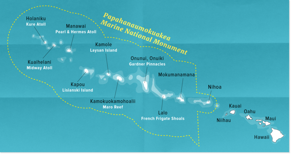 Invasive Algae Spreading Inside Hawaiʻi’s Most Protected Place — H2O IQ